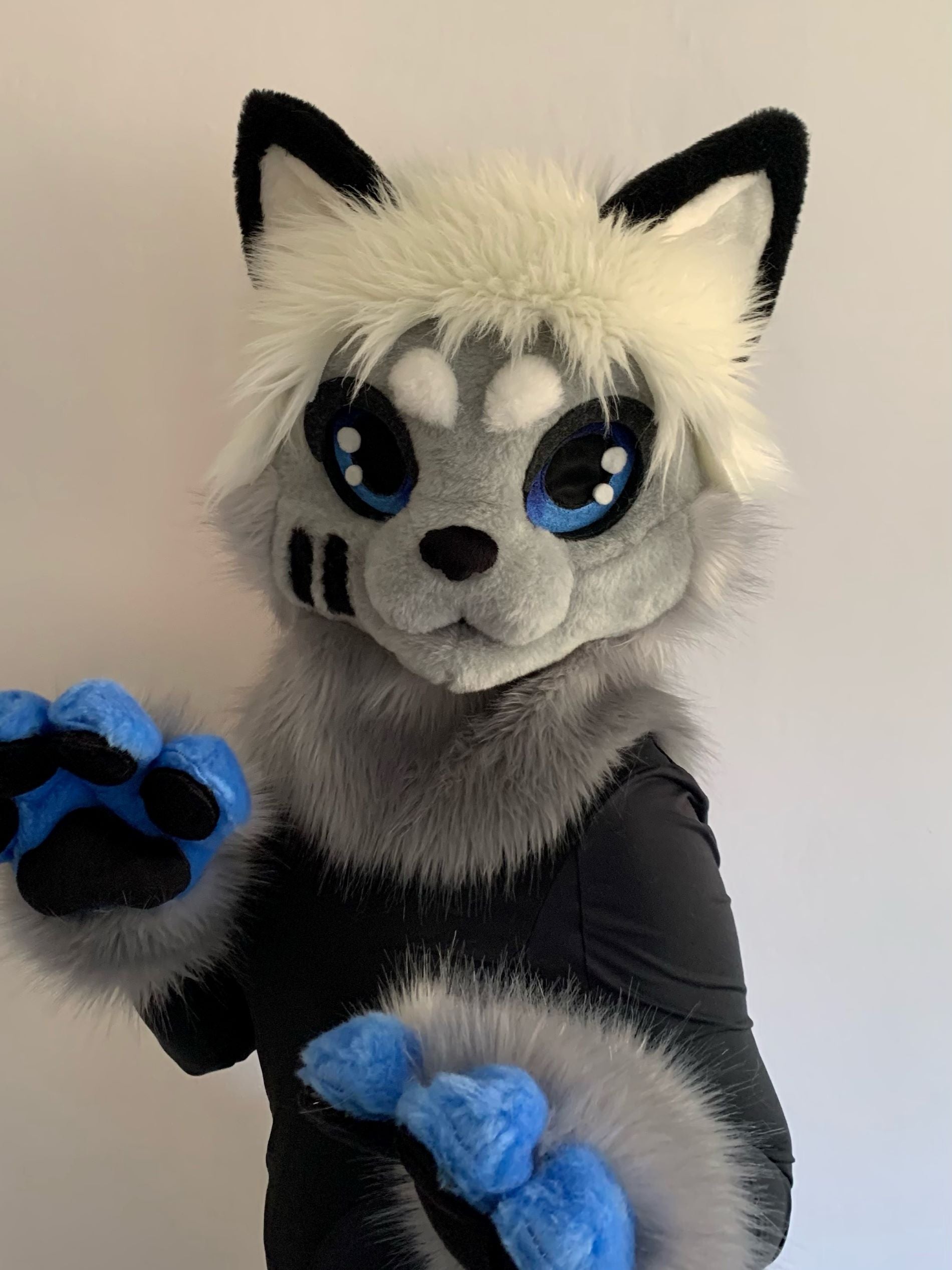 Cat fursuit partials for sale Oneandonlycostumes – oneandonlycostumes