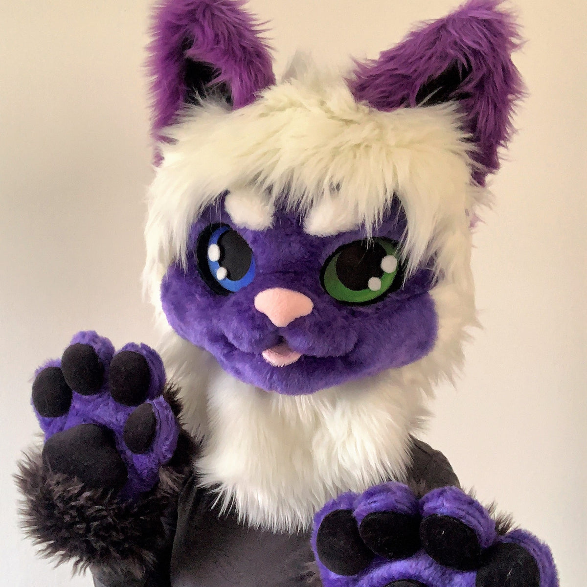 FURSUITS MADE TO ORDER 4 WEEKS – oneandonlycostumes