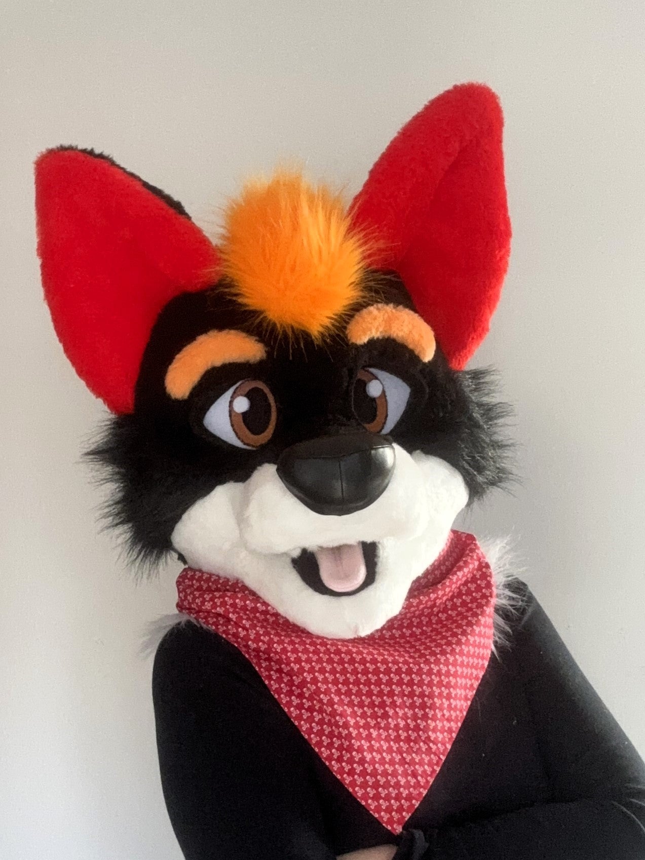 Black Fox Fursuit On Sale – 25% Off, Only $330, US Shipping ...