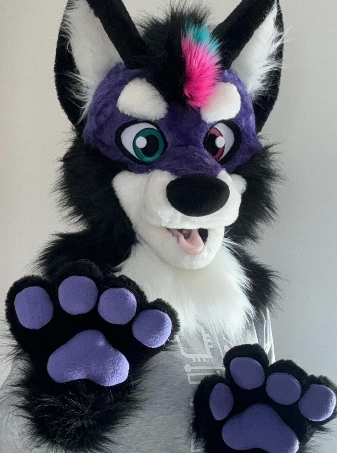 XL husky fursuit for sale - Oneandonlycostumes – oneandonlycostumes