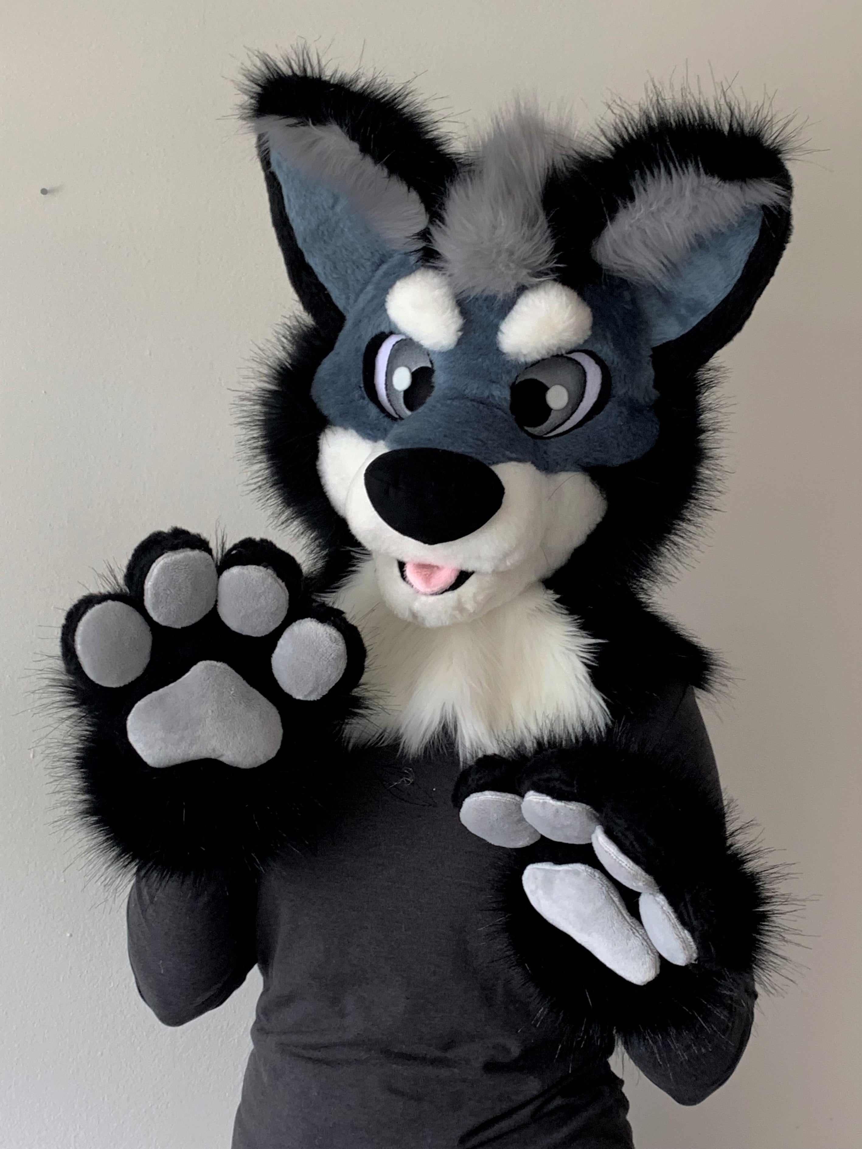 Gray husky fursuit head and hand paws for sale - Oneandonlycostumes ...