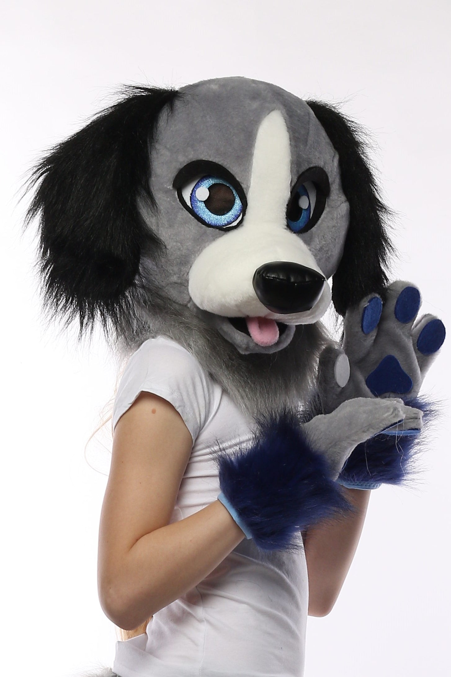 Grey dog fursuit for sale - Oneandonlycostumes – oneandonlycostumes